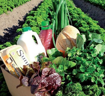 Fresh Seasonal Local Produce